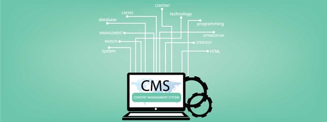 What is a CMS? [& How To Choose One] | Tribute Media